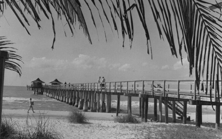 City of Naples Pier Webcam